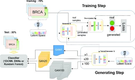 Overview Of Sample Augmentation Using Gans And Classification Of Stages