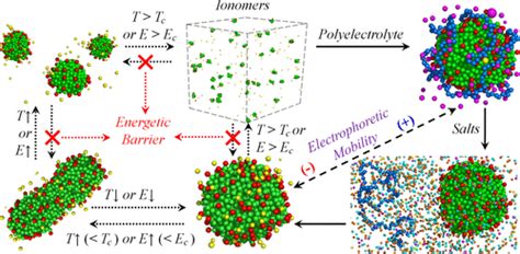 Formation Of Ionomer Microparticles Via Polyelectrolyte Complexation Macromolecules