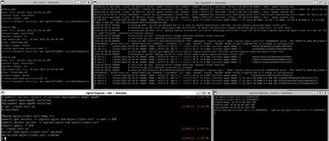 updating proxy ssl secret update does not update proxy ssl trusted