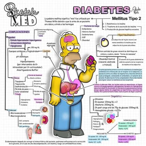 Diabetes Tipo 2 Artofit