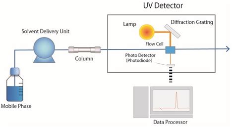 Photodiode Array Schematic