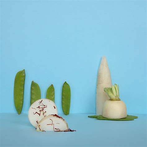 कम म मन Sex Menu on Behance कम म मन Sex Menu on Behance