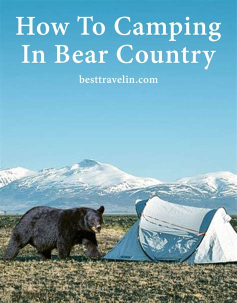 10 Things You Should Know When Camping In Bear Country Camping Bear