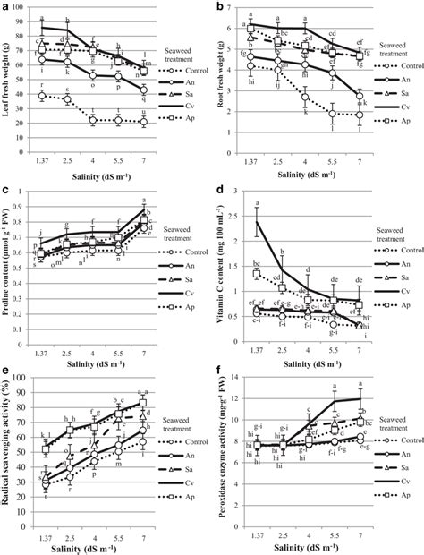 Effect Of The Interaction Between Salinity And Seed Priming On A Leaf