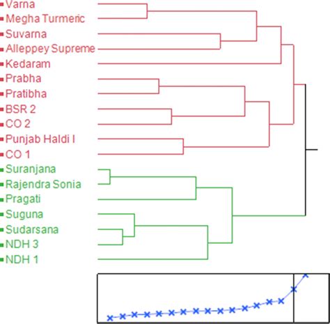 Hierarchical Clustering Based On Morphological Data For The Improved Download Scientific