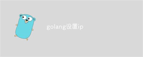 golang set ip-Golang-php.cn