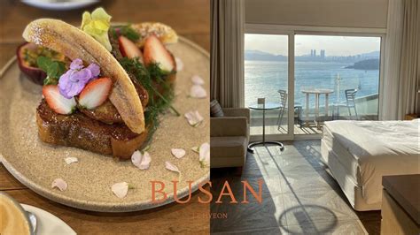 Vlog 1박2일 부산여행 브이로그 해운대 오션뷰 숙소 추천 광안리 카페 전포 소품샵 영도 달맞이길 아카이브앱크 쇼룸 Youtube