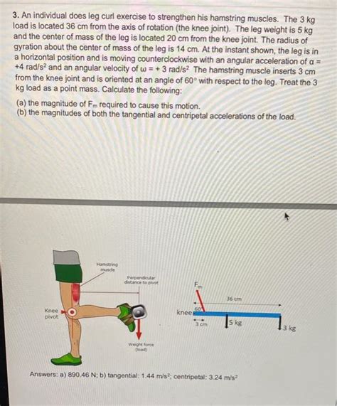 Solved An Individual Does Leg Curl Exercise To Strengthen Chegg Com