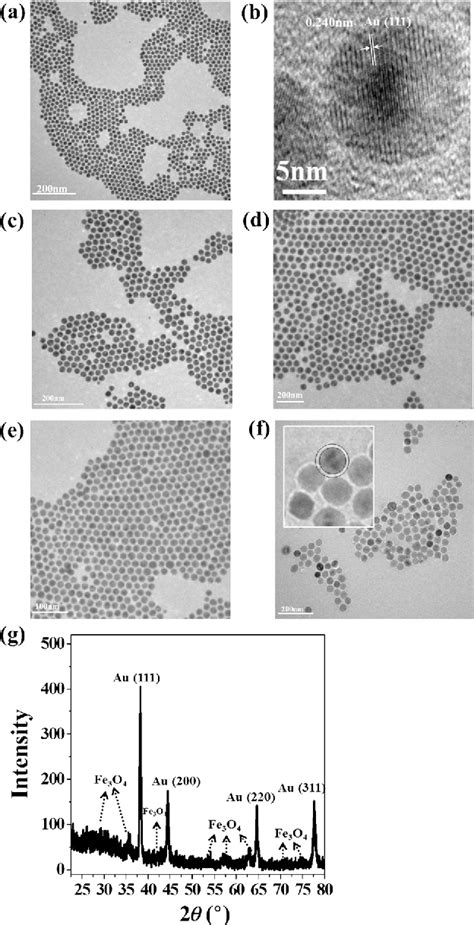 Figure 1 From Precisely Size Tunable Magneticplasmonic Coreshell Nanoparticles With Controlled