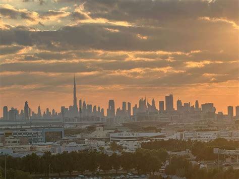 Net Java Sharepointdeveloper Seniorsoftwareengineer Ibrahim