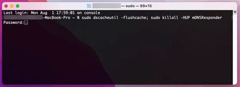 How To Flush DNS Cache In MacOS Sonoma