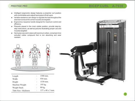 Bicep Curl Machine 230kg Model Name Number A 7000 Series At ₹ 100000