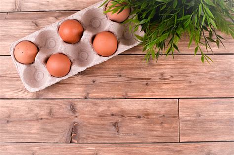 나무 배경에 계란 상자에 생 닭 계란의 클로즈업 냄비에 꽃 공간을 복사합니다 0명에 대한 스톡 사진 및 기타 이미지 0명 가금류 갈색 Istock