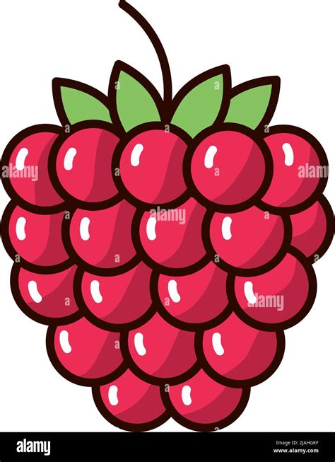 Raspberry Icon Illustration Stock Vector Image And Art Alamy