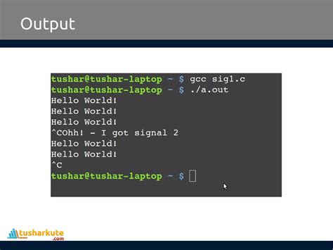 Signal Handling In Linux Pdf
