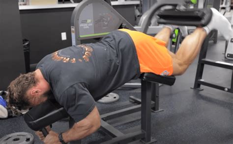Seated Leg Curls Are Better Than Lying Leg Curls The Barbell