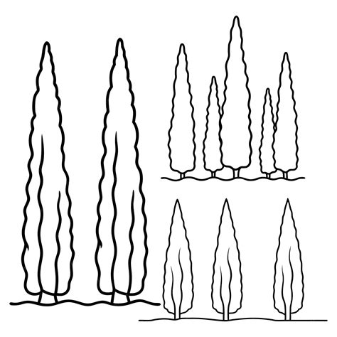 cypress trees line art of tall and slender forms premium ai generated