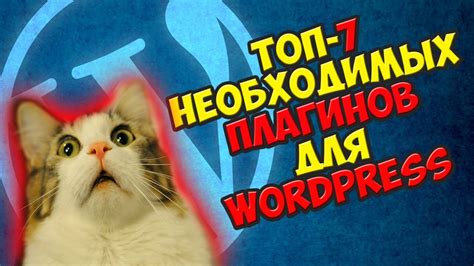 ТОП 7 необходимых ПЛАГИНОВ для Wordpress Youtube