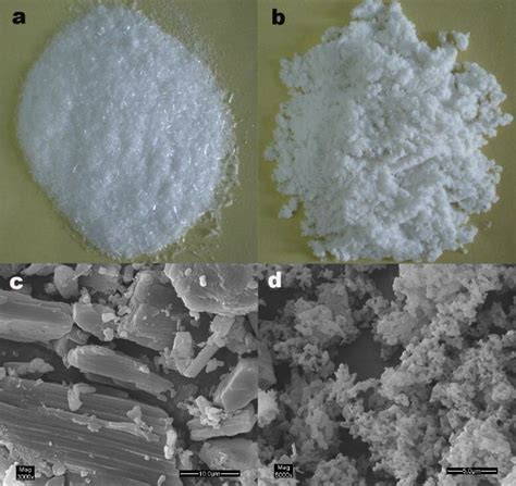 The Influence Of Isomalt Particle Morphology On 41 Off
