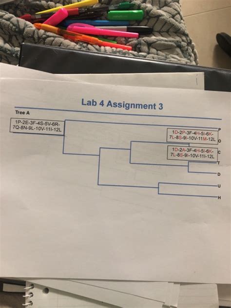 Solved Lab Assignment Build And Select Phylogenetic Tree Chegg