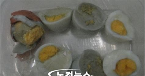 썩은 달걀 제공 어린이집 밝혀져