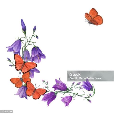수채화 종꽃과 날아다니는 나비들이 하얀 배경에 고립되어 있다 Campanula Harebells 오렌지 나비 엽서 디자인 초대장 템플릿을 위한 식물 그림 텍스트를 위한 공간