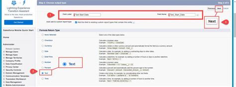 salesforce formula convert date to text with examples