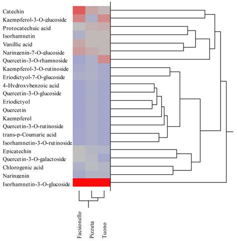 agglomerative two way hierarchical clustering analyses of the