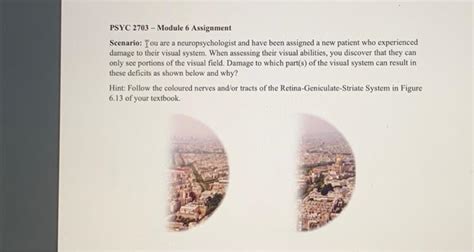 solved psyc 2703 module 6 assignment scenario iou are a