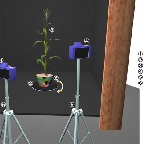 Pdf Novel 3d Imaging Systems For High Throughput Phenotyping Of Plants
