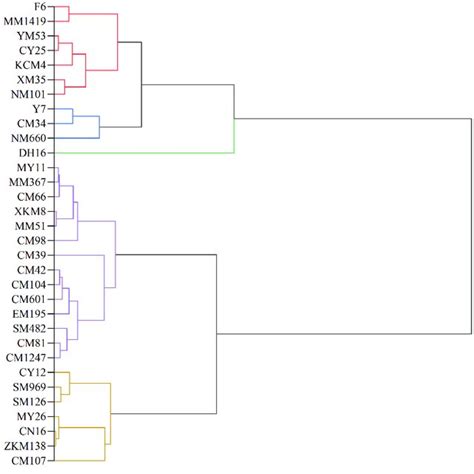 Hierarchical Cluster Analysis Of Yield Yield Components And Gluten