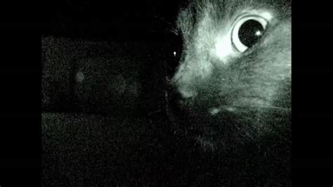 Gos Setno Match Elmcityskatecrew Youtube