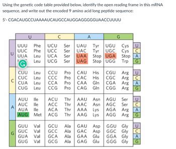 Answered: Using the genetic code table provided below, identify the open reading frame in this ...