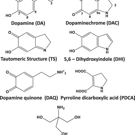 Katja Loos Professor Full Dr University Of Groningen Groningen Rug Zernike