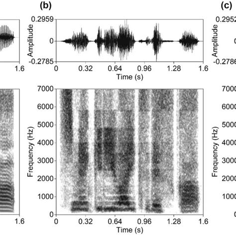examples of waveforms top and narrowband spectrograms bottom of the