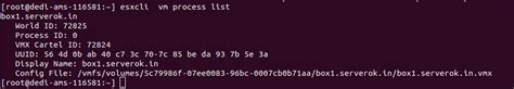 Vmware Esxcli Serverok
