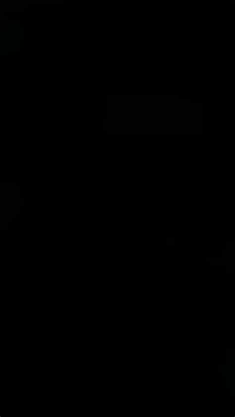 Goliath Bird Eater R Tarantulas