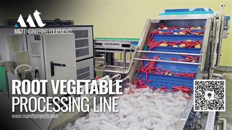 Root Vegetable Processing Potato Washing Line Potato Washer Carrot