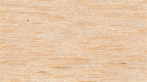 Balsa Wood Vs Basswood A Complete Comparison Timber Blogger