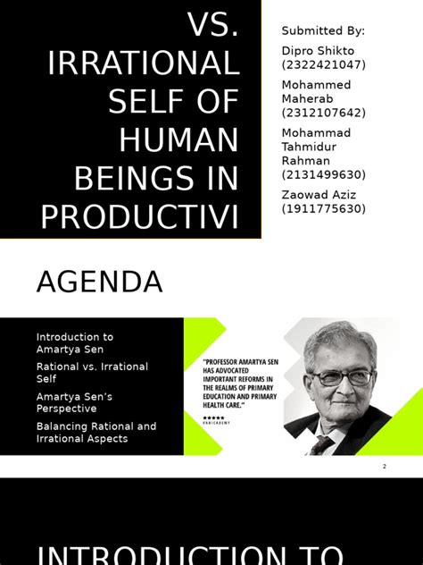 Rational Vs Irrational Self In Productivity Pdf Rationality