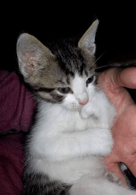 Lil Drifty Boi R Initiald