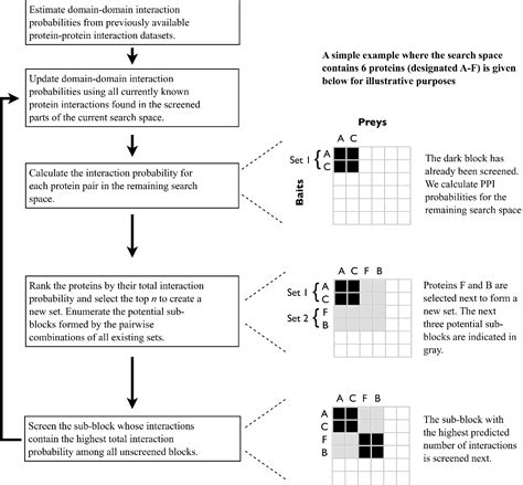 Figure 2 From An Optimized Predictive Strategy For Interactome Mapping Semantic Scholar