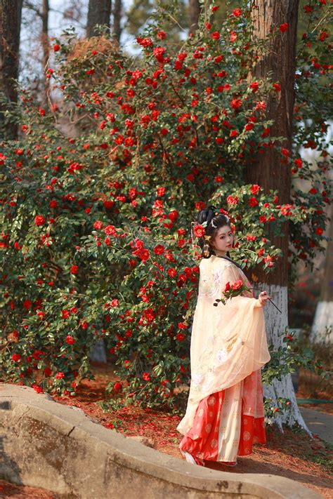 [艺图语] 2023 08 16 山茶晚照 不可爱的禾禾喵 微图坊