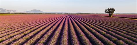 Understanding The European Drinking Water Directive Dwd Nsf