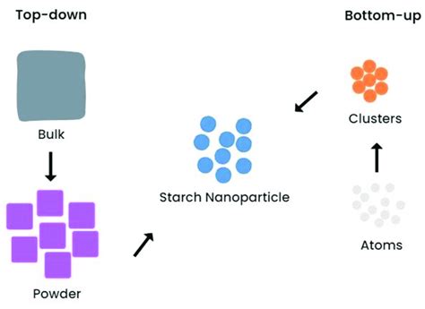 Starch Nanoparticle Production Method With Top Down And Bottom Up Download Scientific Diagram
