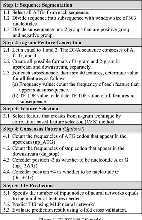 Figure 1 From The Tf Idf And Neural Networks Approach For Translation Initiation Site Prediction