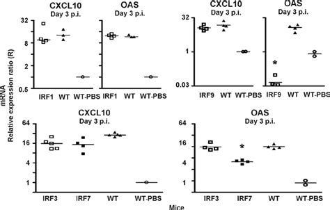 Roles Of Irf1 Irf3 Irf7 And Irf9 In Regulating The Early Expression