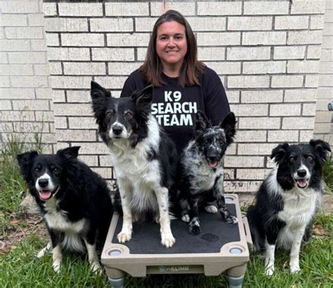 Jennifer Wright Alpha Search And Recovery