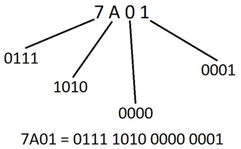 convert the hexadecimal number 7a01 {16} to binary quizlet