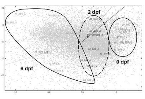 Correlation Analysis Of Microarray Spot Pix Data Individual Data Are